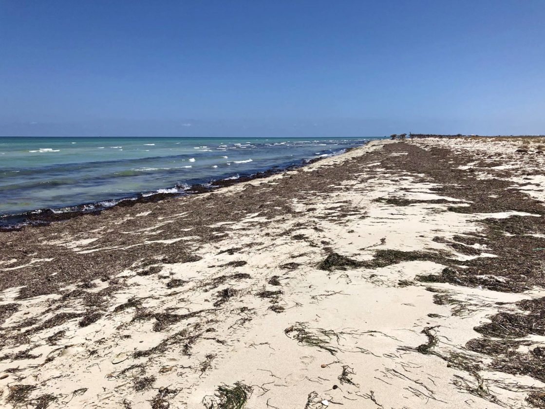 DJERBA (Tunísia): praias, o que fazer, onde ficar, dicas - Bora Viajar ...