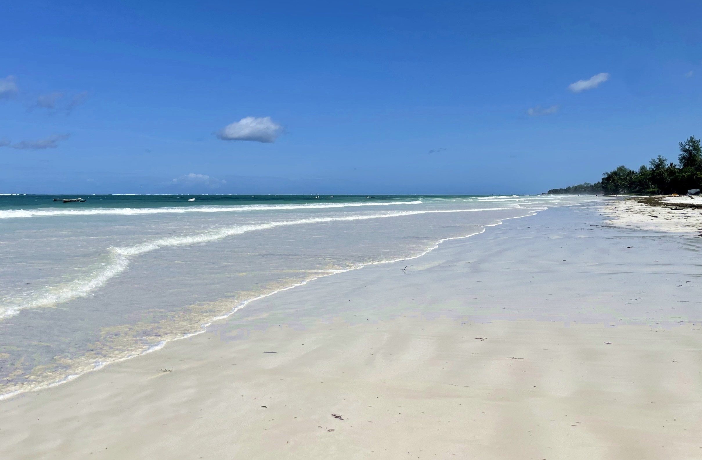 DIANI BEACH (Quênia): praias, o que fazer, dicas - Bora Viajar Agora